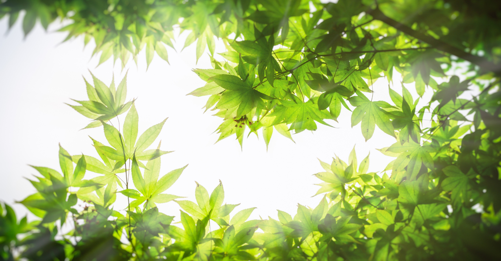 Tekijäakatemia | Andy Hopi Oy